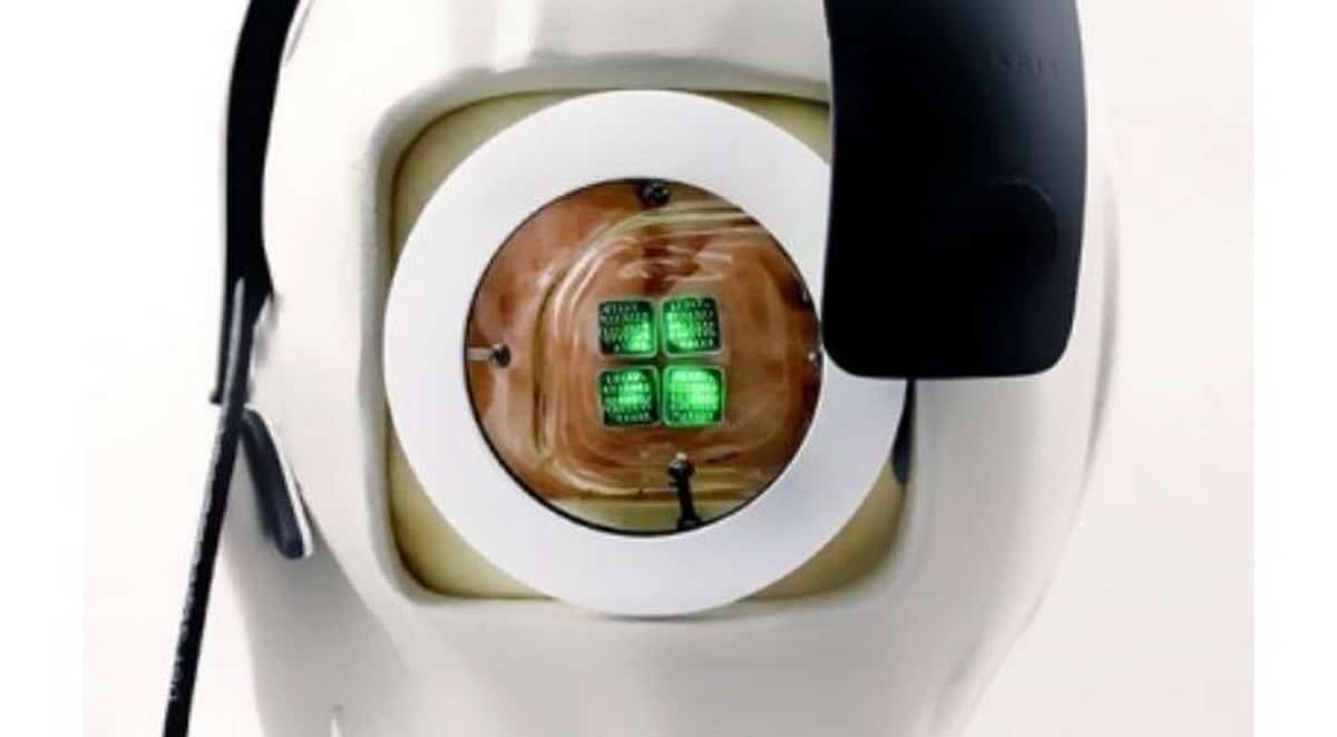 Scientists build 'Bionic Eye' to restore vision in blind people ...