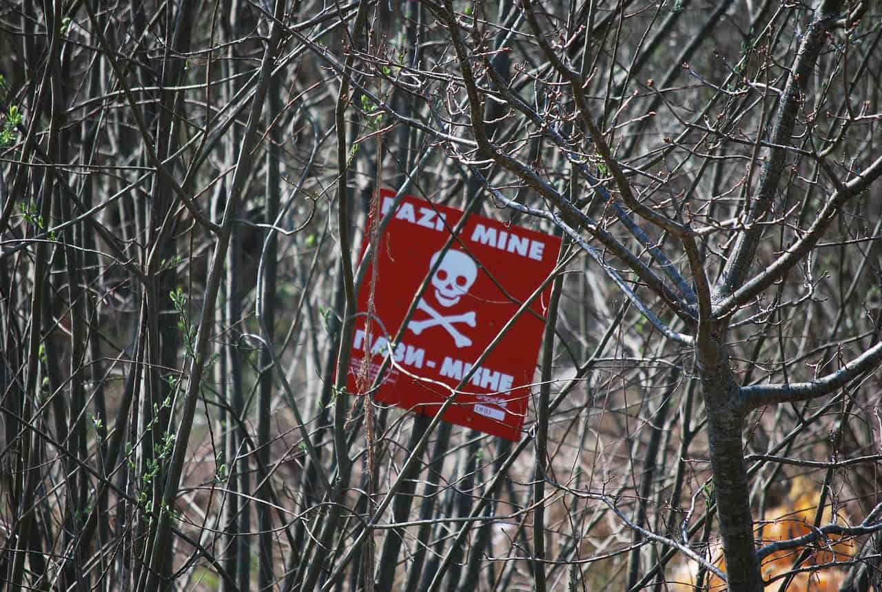Anti-mine treaty signatories slam US decision to send landmines to ...