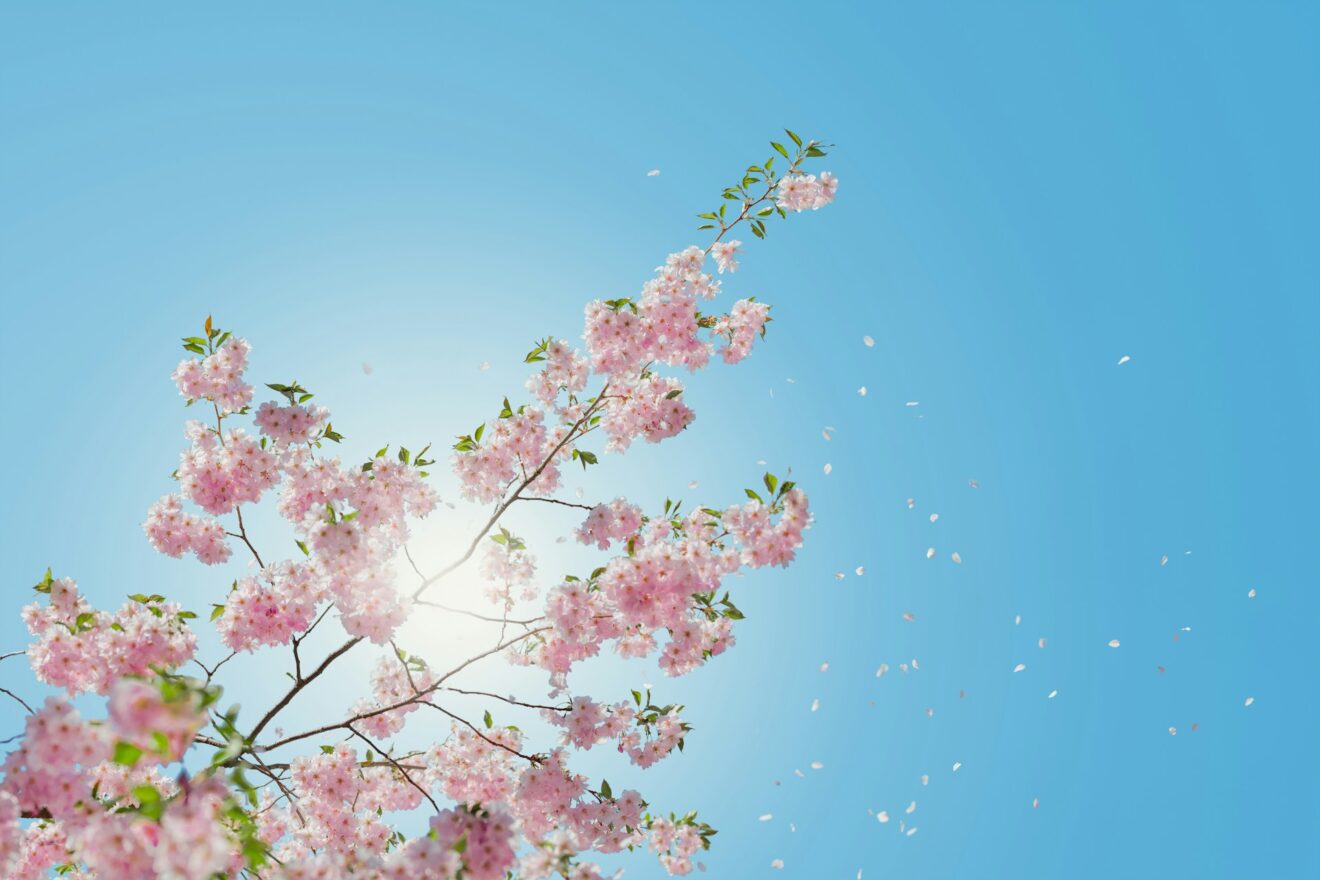 US experienced second-warmest spring on record: NOAA - Insider Paper